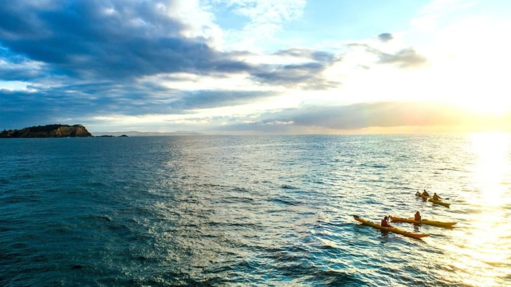 The Best Kayaking Tours in Batemans Bay - Glass Bottom Kayaks, Pizza ...