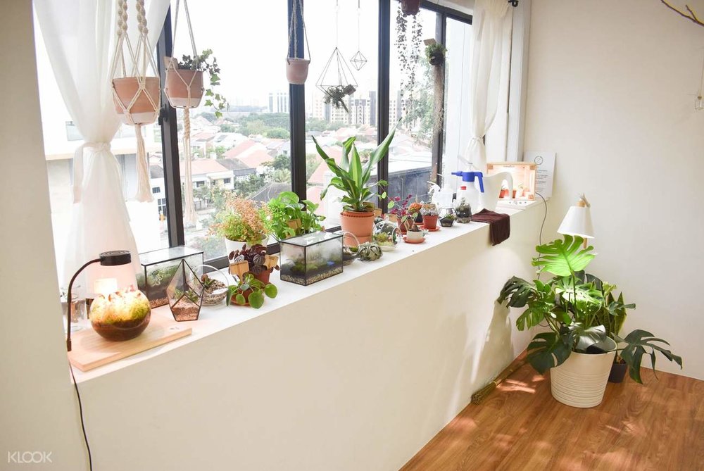 11 Terrarium & Floral Arrangement Workshops From $21 To Step Up Your ...