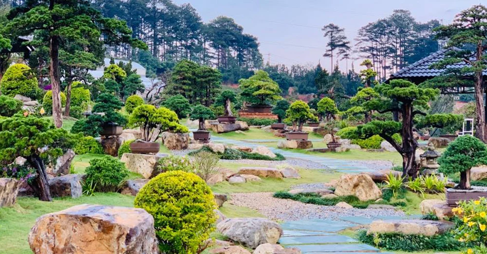 Check-in QUE Garden Đà Lạt - Địa Điểm Sống Ảo Cực HOT - Klook Blog