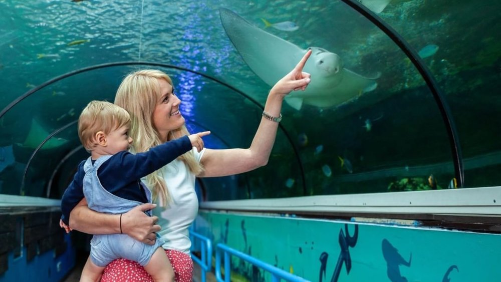 Sydney in One Day - The Complete Itinerary to See the Very Best of ...