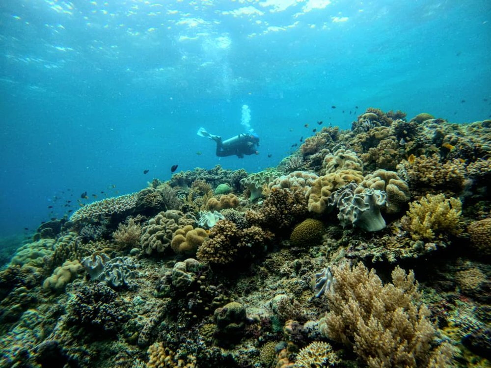 20 Bohol Tourist Spots for the Perfect Nature Trip - Klook Travel Blog