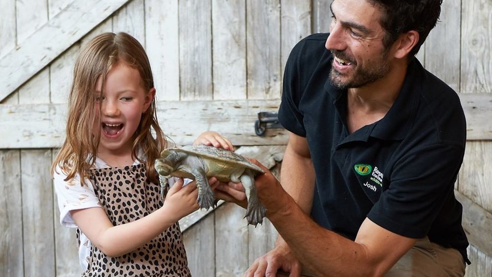 9 Best Places in Melbourne for Fun and Adorable Wildlife Encounters ...