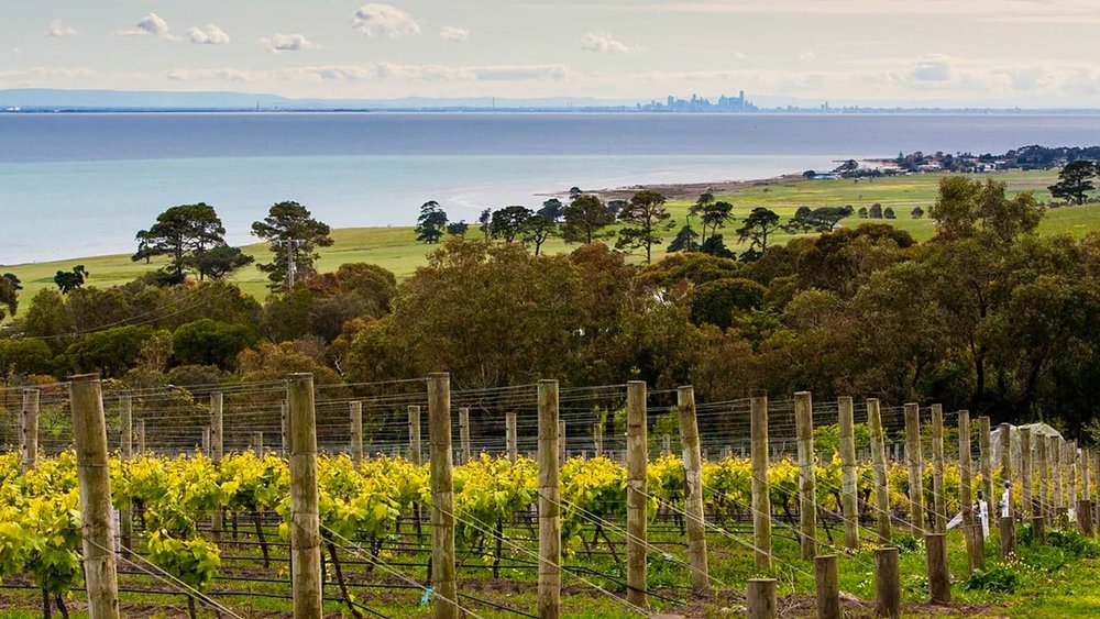 These Are the Best Places to Get Your Easter Essentials in Melbourne ...