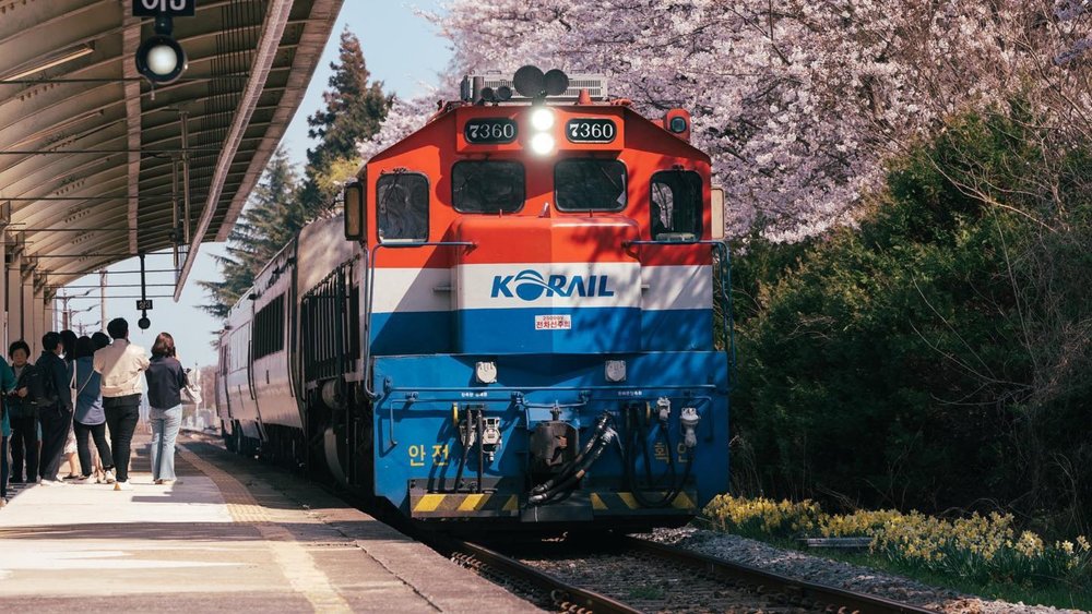 Travel Across South Korea by Train: 5 Incredible Places to Visit Outside Seoul - Klook Travel Blog