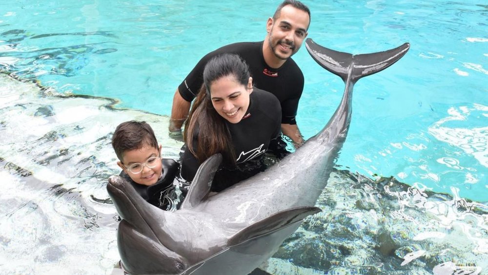 25 Most Exciting Things to Do on Sentosa Island, Singapore - Klook ...