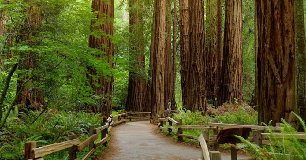 35 Địa Điểm Du Lịch Mỹ Hấp Dẫn Cho Kỳ Nghỉ Dài - Klook Blog