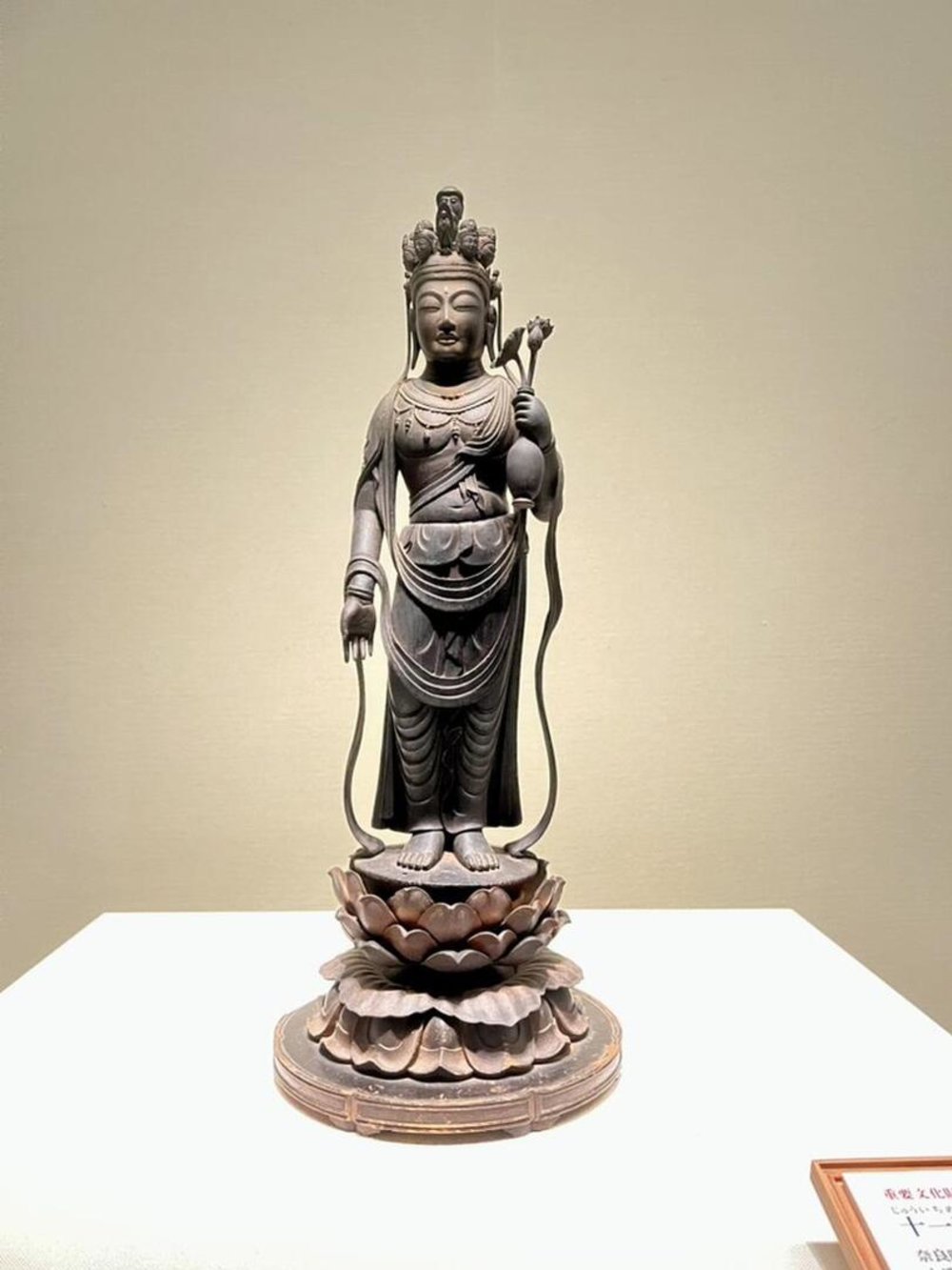 熱海・MOA美術館は見どころ満載！割引チケットやおしゃれなグルメ情報も | Klookブログ