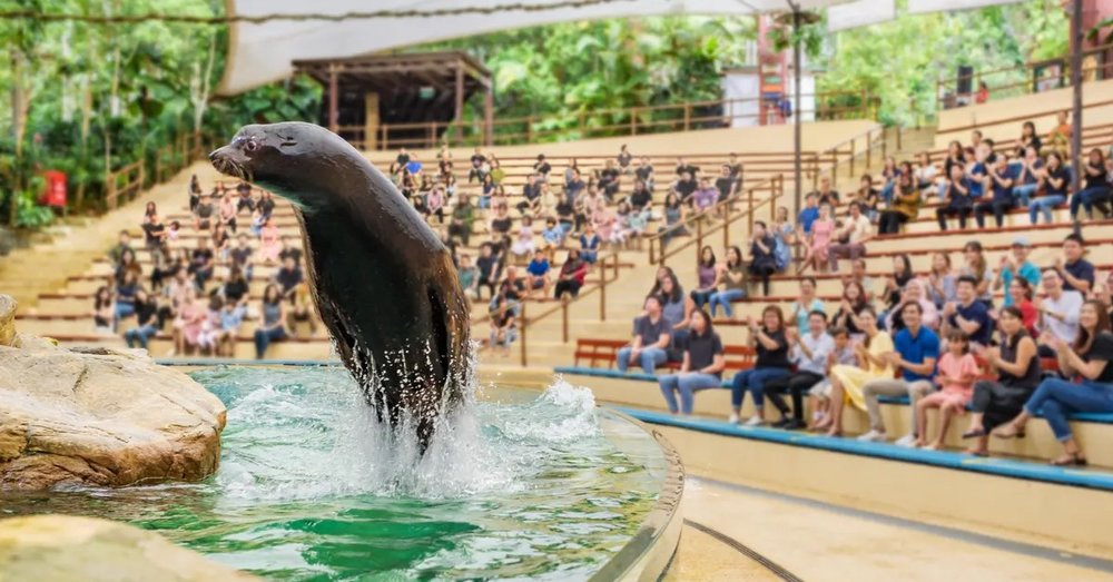 Singapore Zoo & Beyond: Must-Visit Attractions & Events at Mandai ...