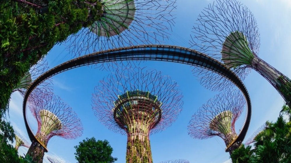 เที่ยวสวน Gardens By The Bay สิงคโปร์ กลางวันหรือกลางคืนดี? - Klook Blog