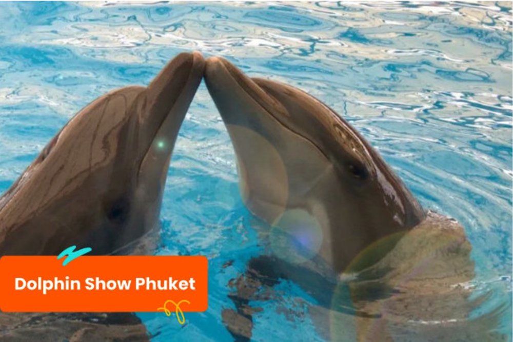 【布吉自由行2023】7大必去景點推介！水上樂園／舊城景點／SPA - Klook旅遊網誌