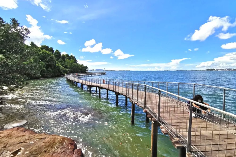 Kinh Nghiệm Du Lịch Đảo Pulau Ubin Singapore Tự Túc - Klook Blog