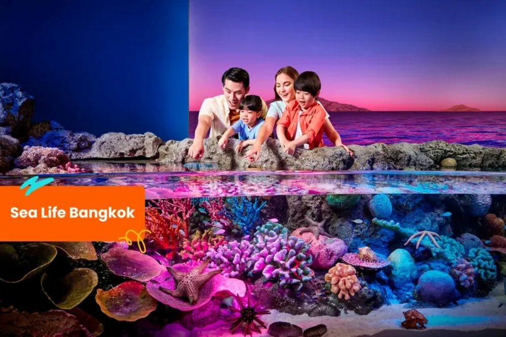 แจก 5 ที่เที่ยว นั่งดูพระอาทิตย์ตกสุดโรแมนติก - Klook Blog