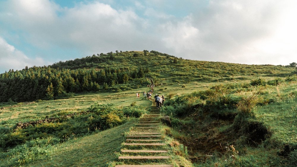 15 Best Things to Do in Jeju: Snoopy Garden, Go Kart Race Park, Green ...