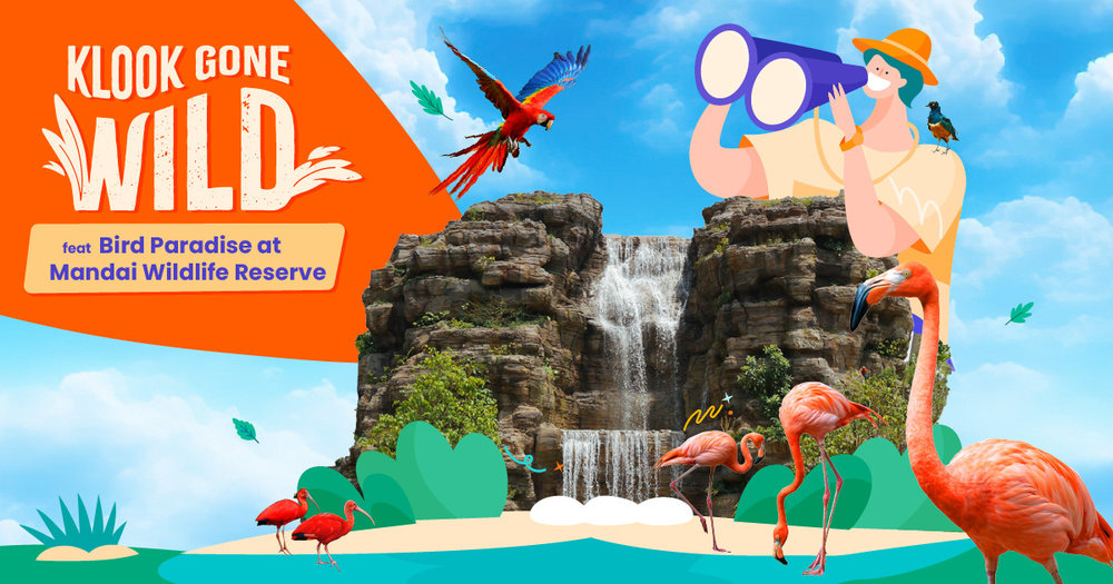 18 Things to Know About the Newly Opened Bird Paradise in Singapore ...