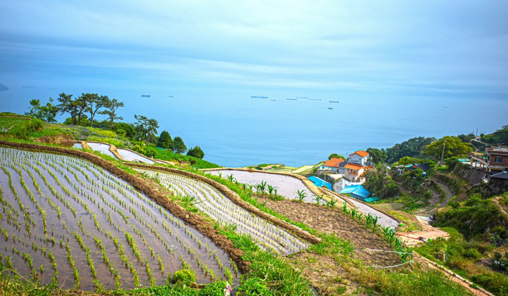 19 Cảnh Đẹp Hàn Quốc Nổi Tiếng Cho Hội Tự Túc - Klook Blog