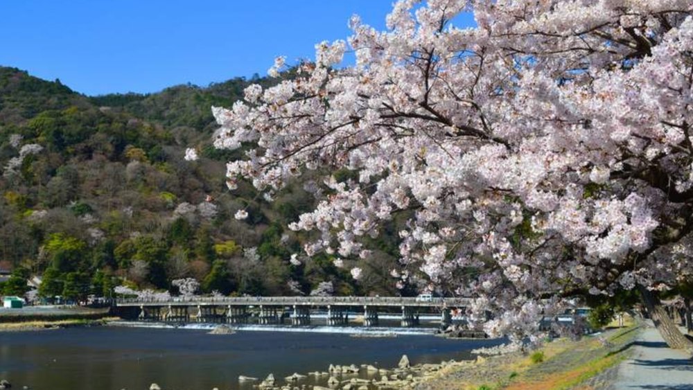 This 2-Week Japan Itinerary Makes Exploring Tokyo-Kyoto-Osaka Easy ...