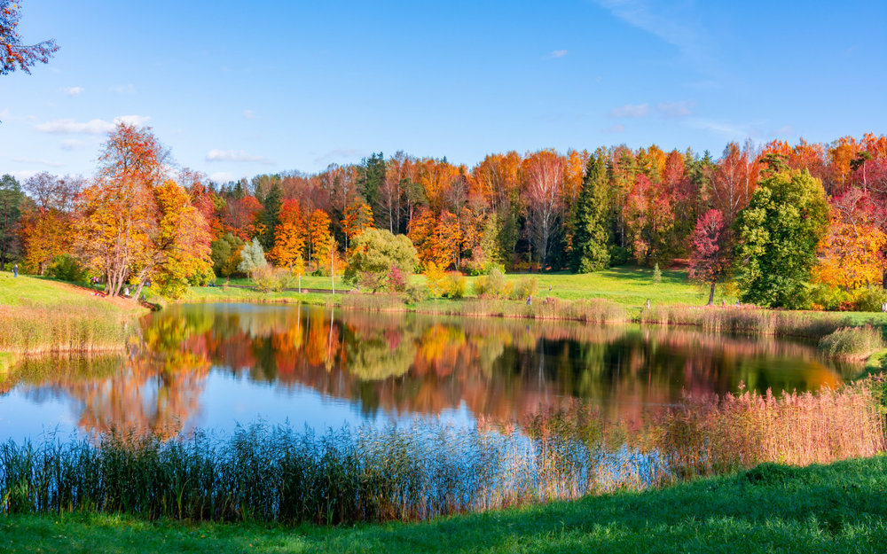 19 Địa Điểm Ngắm Lá Đỏ Nhật Bản Đẹp Tuyệt Vời Cập Nhật Mới - Klook Blog