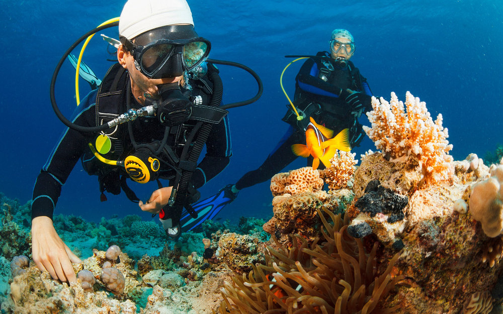 Scuba Diving Là Gì, 11 Điểm Lặn Scuba Diving Hàng Đầu Châu Á - Klook Blog
