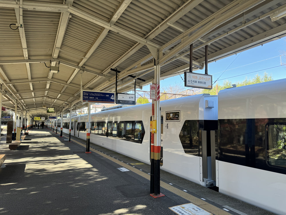Your Guide to the NEW Spacia X: Limited Express Train from Asakusa to Nikko - Klook Travel Blog