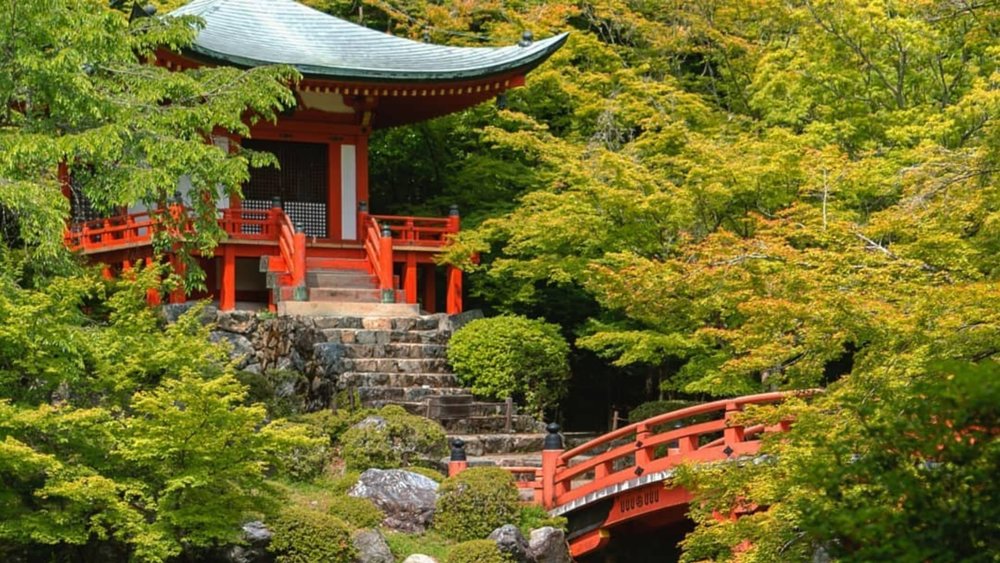 A Striking Scenic Adventure Through the Golden Route Japan - Klook ...