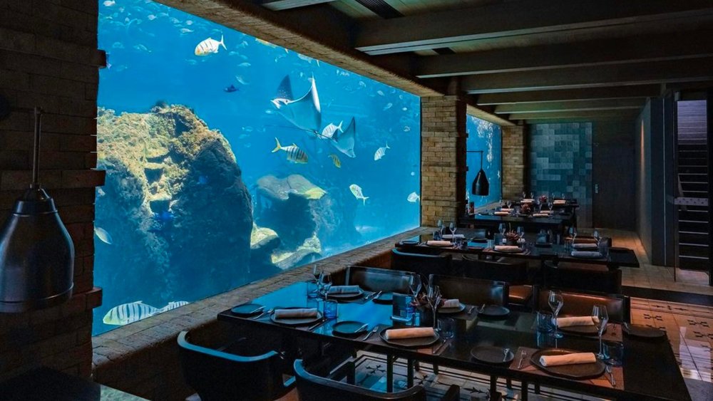 Bali’s First Aquarium Restaurant Is Straight Out of a Dream - Klook ...