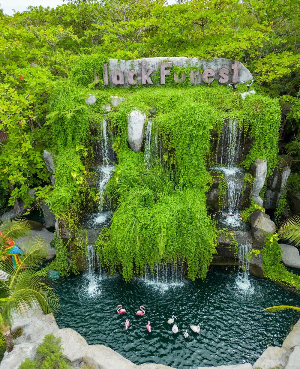 คาเฟ่พัทยา 2024: อัพเดท 10 คาเฟ่ห้ามพลาด - Klook Blog