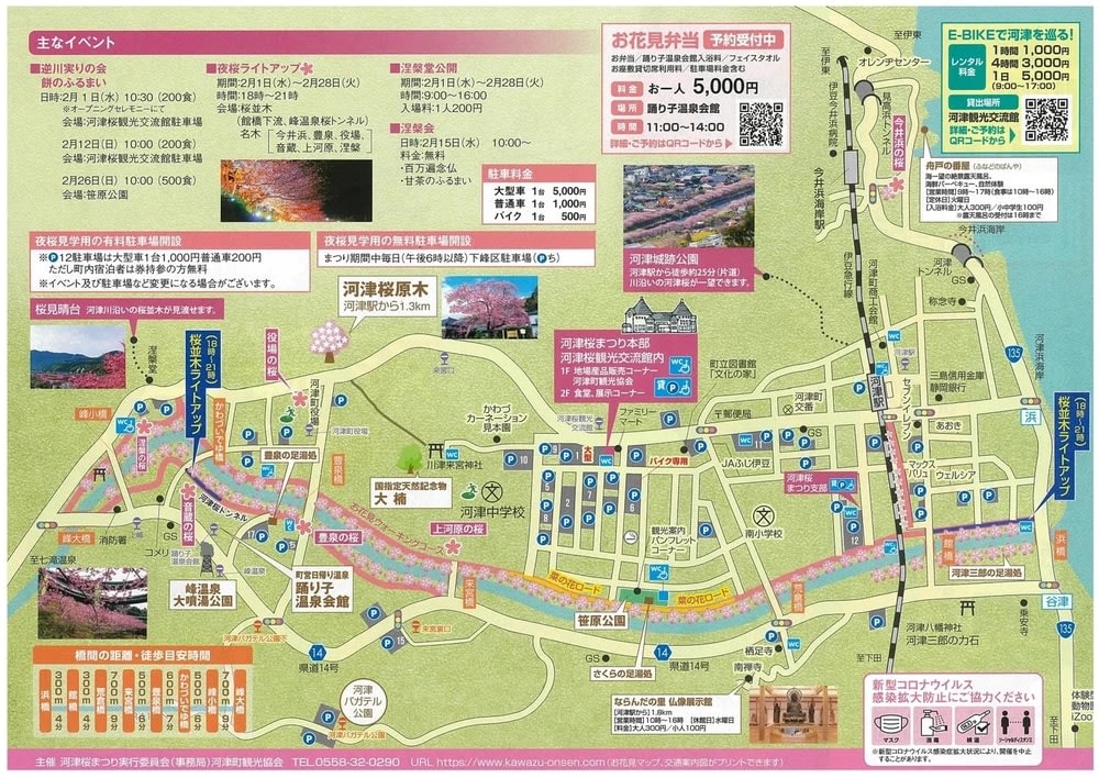 Cherry Blossom In Kawazu: Cherry Blossom Viewing Spots, Kawazu Sakura ...