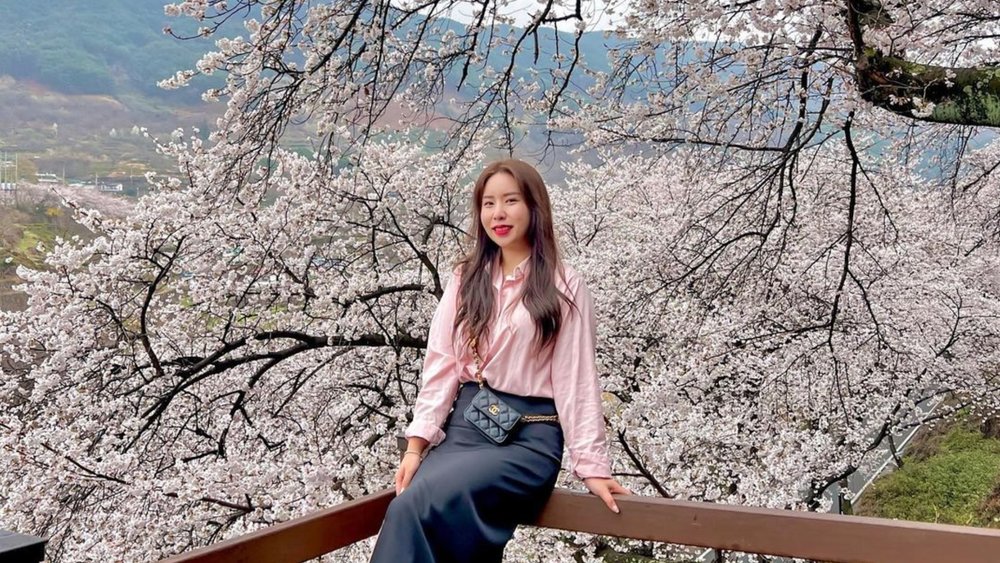 The 7 Best Spots to See Cherry Blossoms in South Korea - Klook Travel Blog