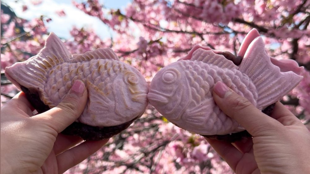 How to Celebrate Hanami: Japan's Cherry Blossom Festivities - Klook Travel Blog