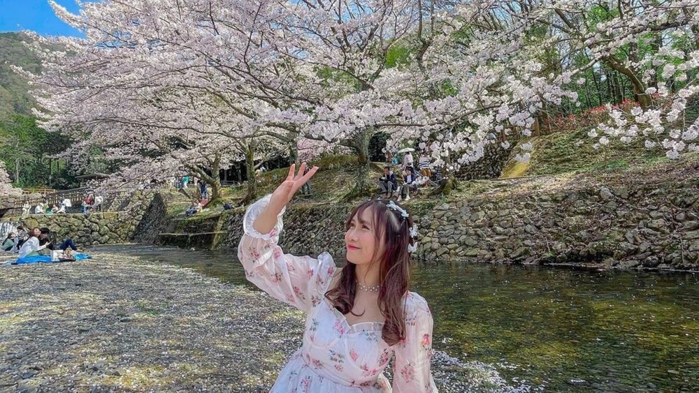 Top 7 Spring Festivals in Japan to Experience Hanami - Klook Travel Blog