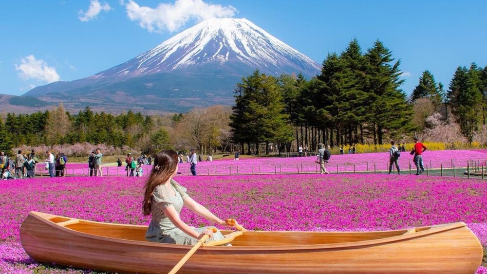 Top 7 Spring Festivals in Japan to Experience Hanami - Klook Travel Blog