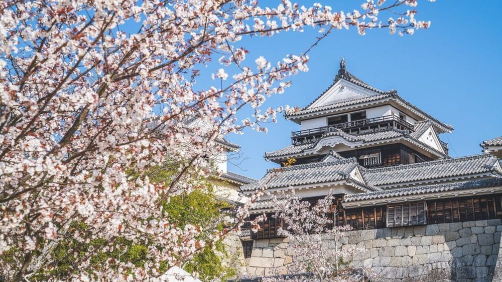 Top 7 Spring Festivals in Japan to Experience Hanami - Klook Travel Blog