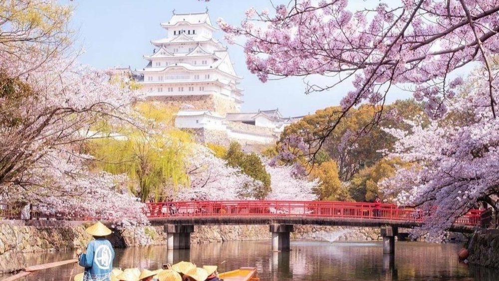 Top 7 Spring Festivals in Japan to Experience Hanami - Klook Travel Blog