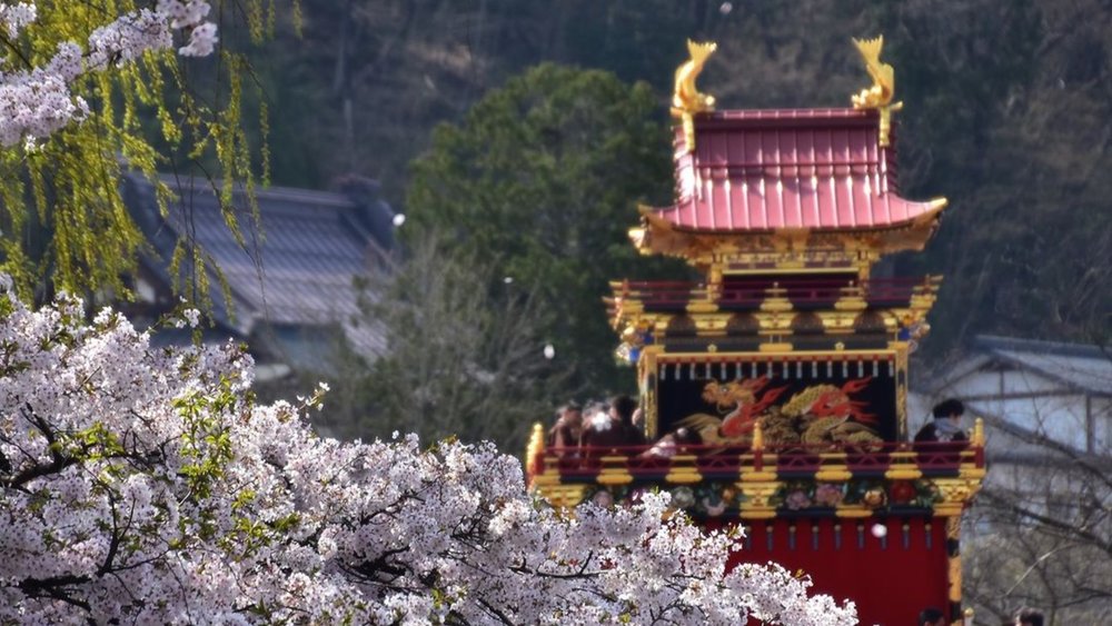 Top 7 Spring Festivals in Japan to Experience Hanami - Klook Travel Blog