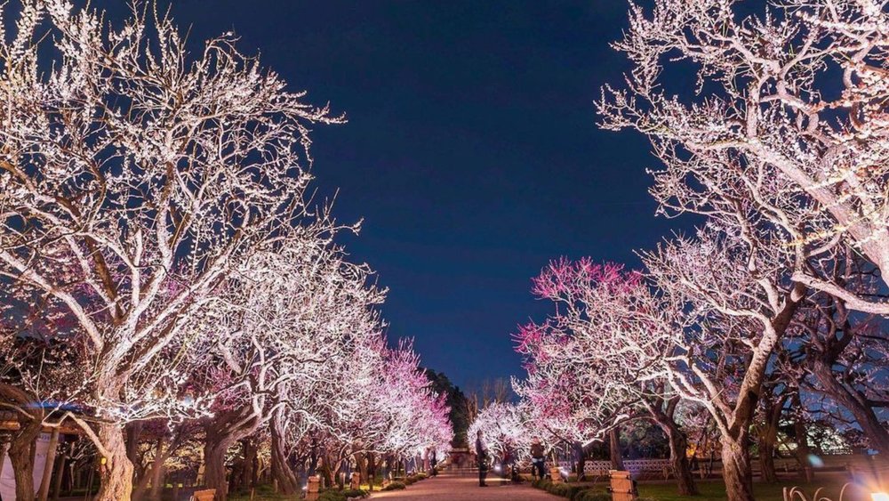 The 7 Best Osaka Gardens You Can’t Miss in Your Next Visit - Klook ...