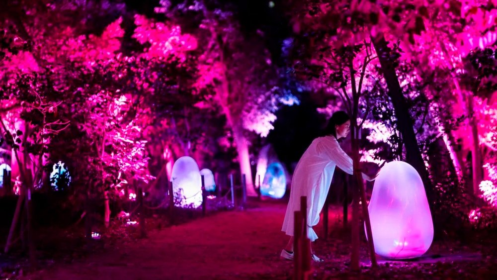 The 7 Best Osaka Gardens You Can’t Miss in Your Next Visit - Klook Travel Blog