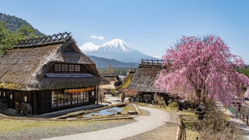 The 7 Best Outdoor Spring Activities to Do in Japan - Klook Travel Blog