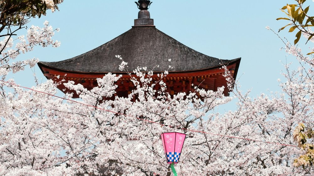 7 Thrilling Activities You Can Enjoy during Spring in Japan - Klook ...