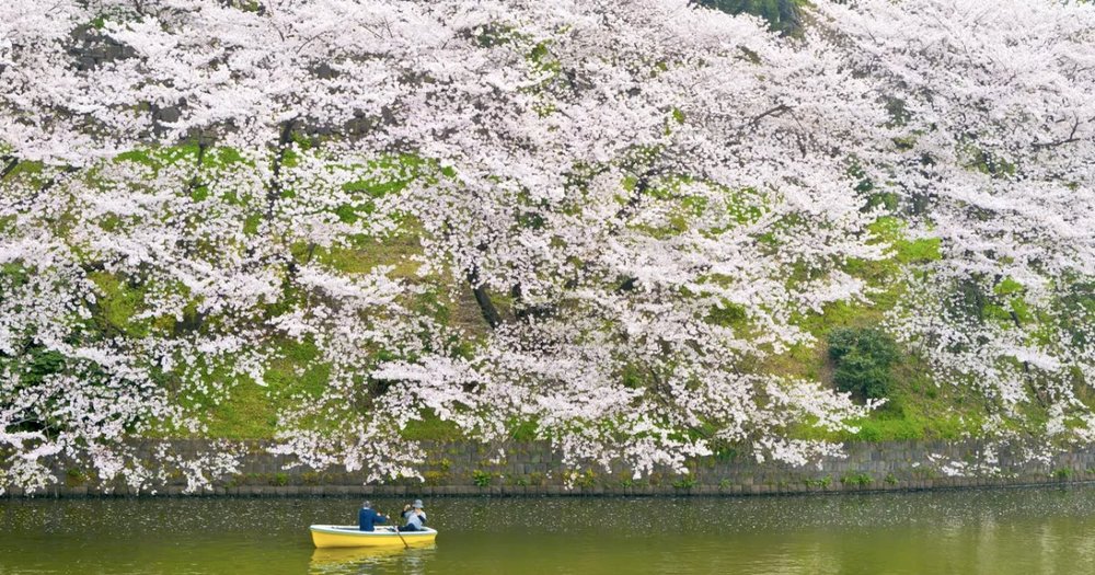 The 4 Japan Seasons And What You Should Be Doing During Each - Klook ...