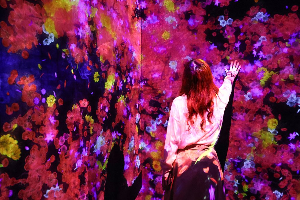 teamLab Planets vs. teamLab Borderless: Which Should I Go To? - Klook Travel Blog