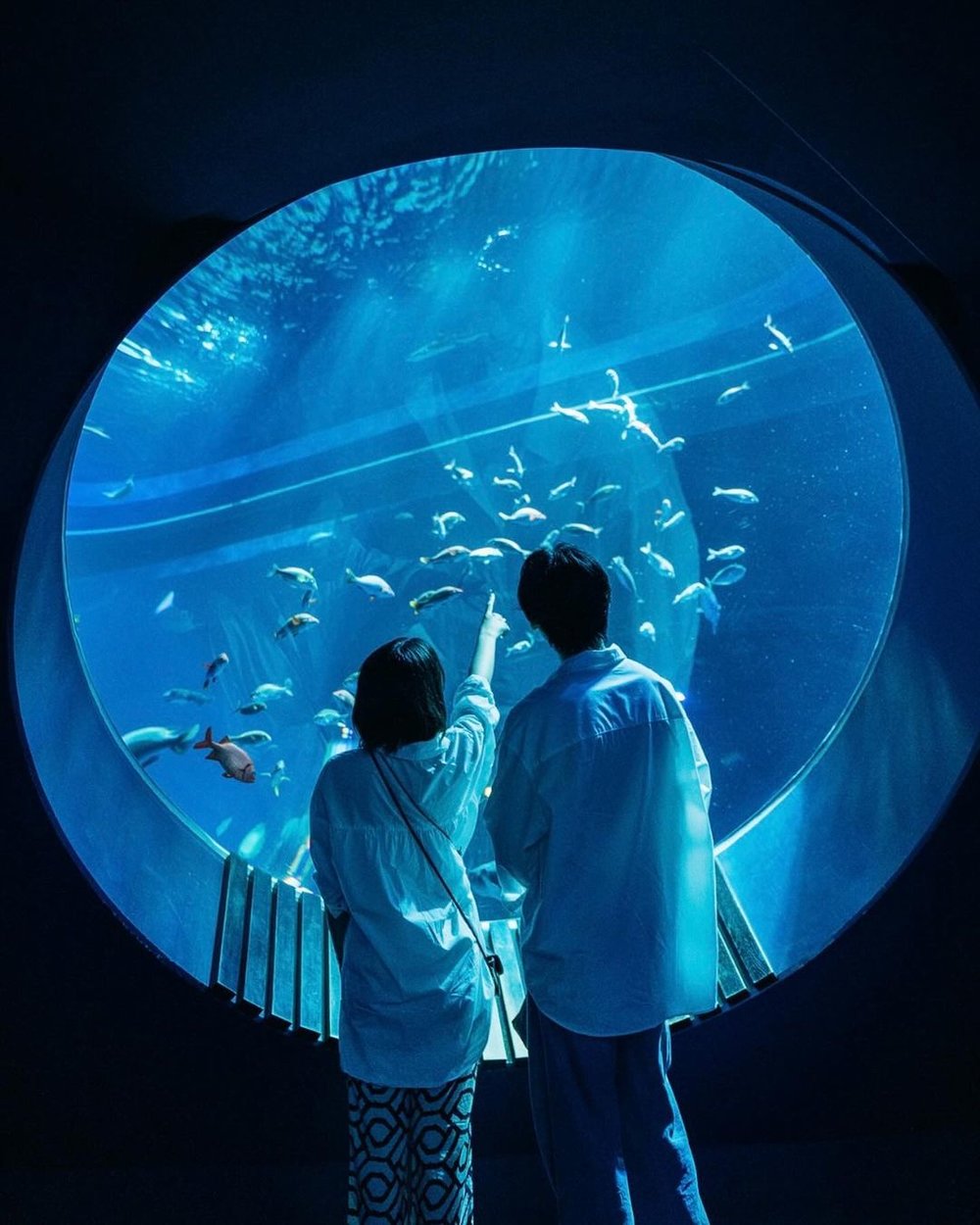 沖繩 Outlet 4 大必去推介！Ashibinaa Outlet 必買品牌 + 來往國際通/接駁車等交通 - Klook旅遊網誌