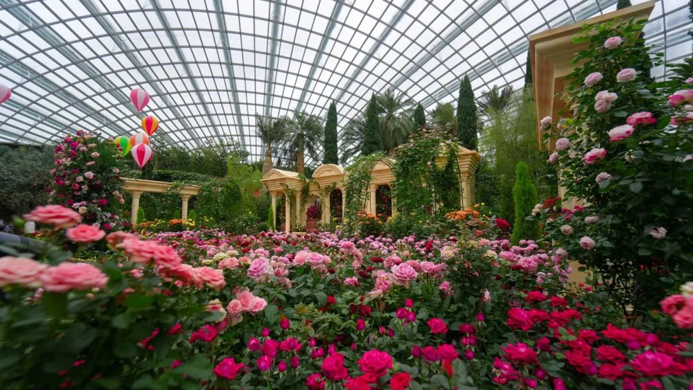 Your Complete Guide To Gardens By The Bay A Must Visit Singapore Icon Your Complete Guide To Gardens By The Bay A Must Visit Singapore Icon