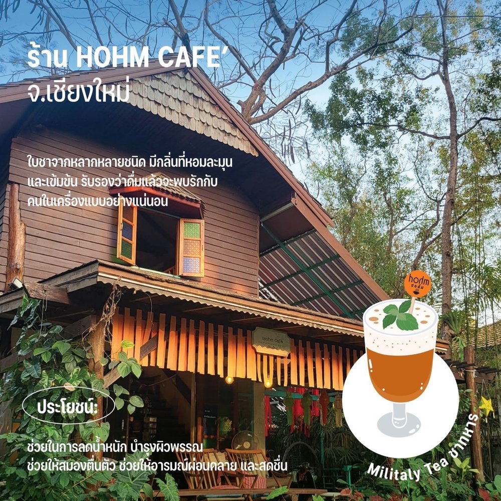 365 วันแห่งการเดินทางของ “คนรักกาแฟ” - Klook Blog