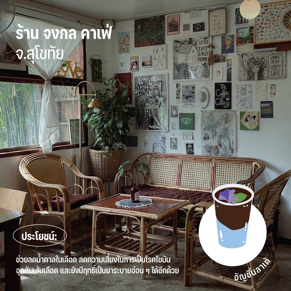 365 วันแห่งการเดินทางของ “คนรักกาแฟ” - Klook Blog