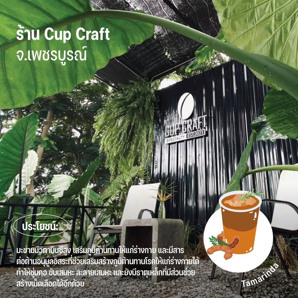 365 วันแห่งการเดินทางของ “คนรักกาแฟ” - Klook Blog