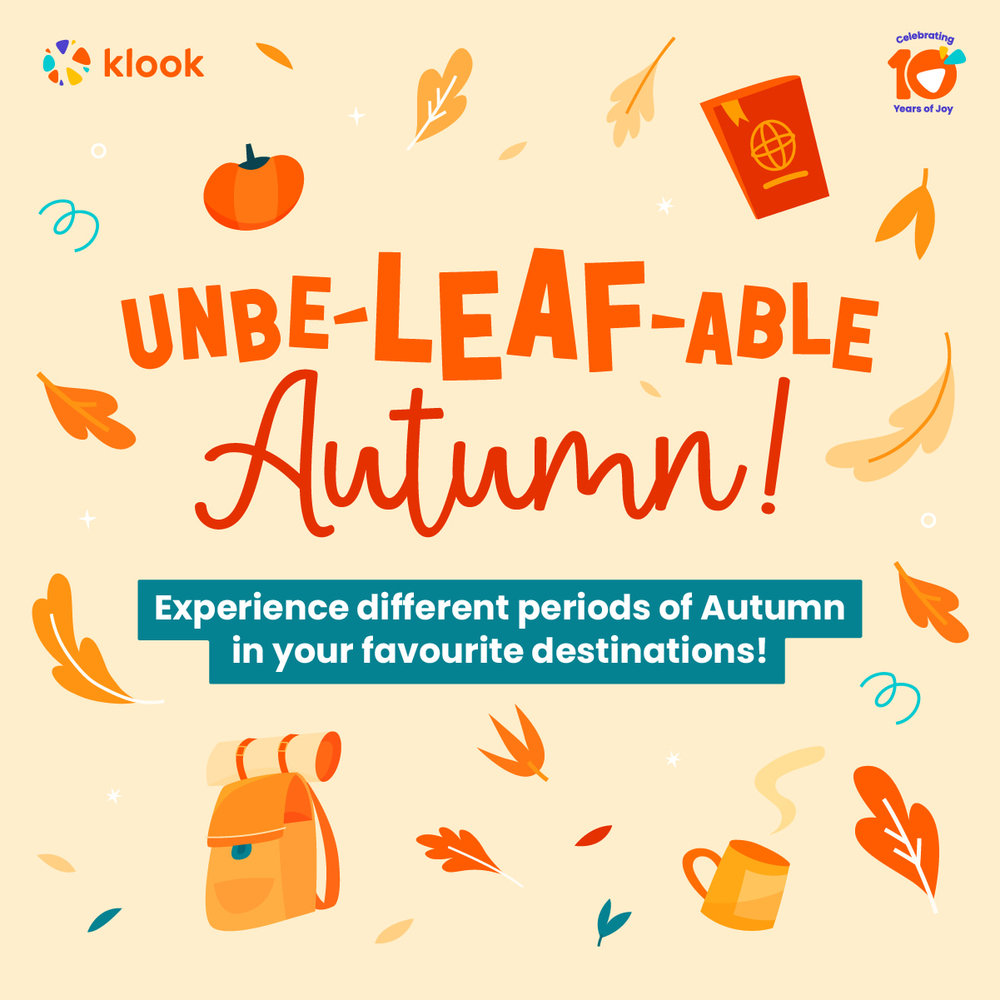 19 Animal Cafes in Tokyo With Adorable Animals Like Otters, Capybaras ...