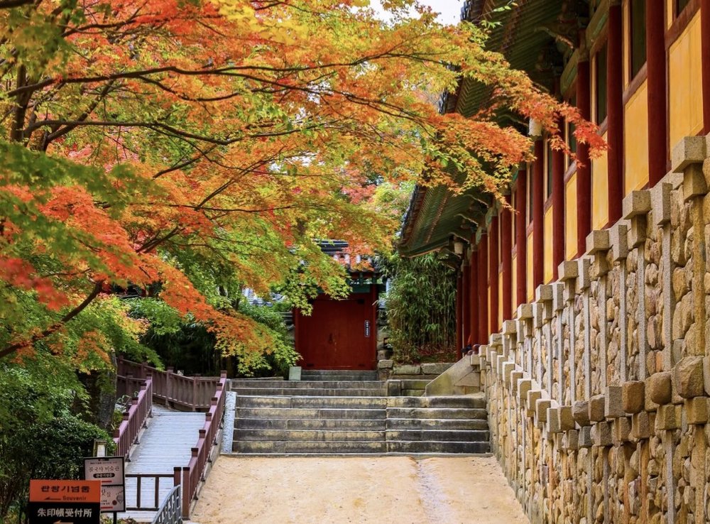 Gyeongju Day Trip from Seoul: Top Things to Do in Korea’s Ancient Capital - Klook Travel Blog