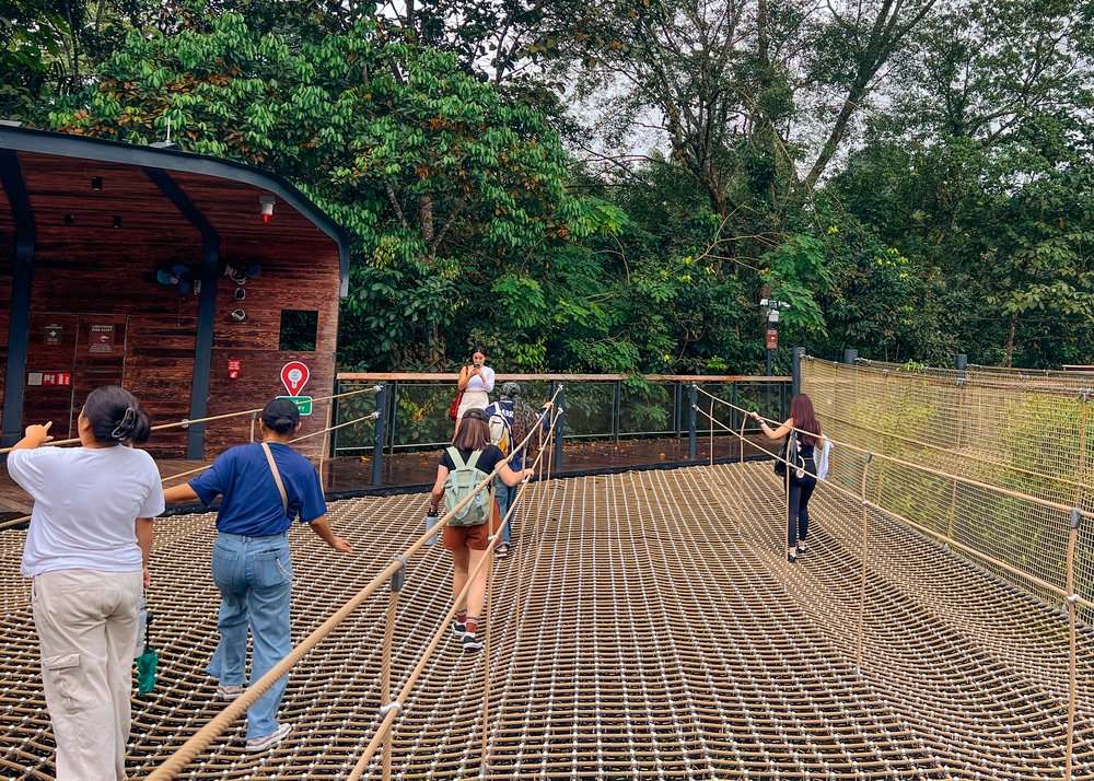 Rainforest Wild ASIA: Mandai’s Newest Park Opens in March 2025 — Here’s ...