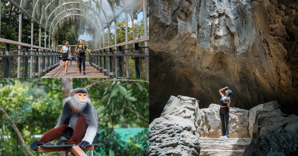 Rainforest Wild ASIA: Mandai’s Newest Park Opens in March 2025 — Here’s ...