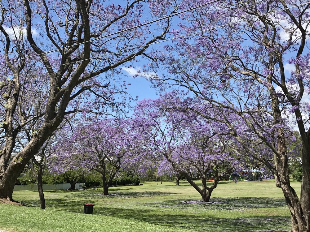 Best Season to Visit Australia For Your Perfect Adventure - Klook ...